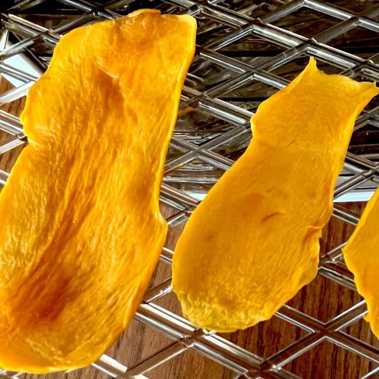 How To Make Dehydrated Mango - The Vintage Cook