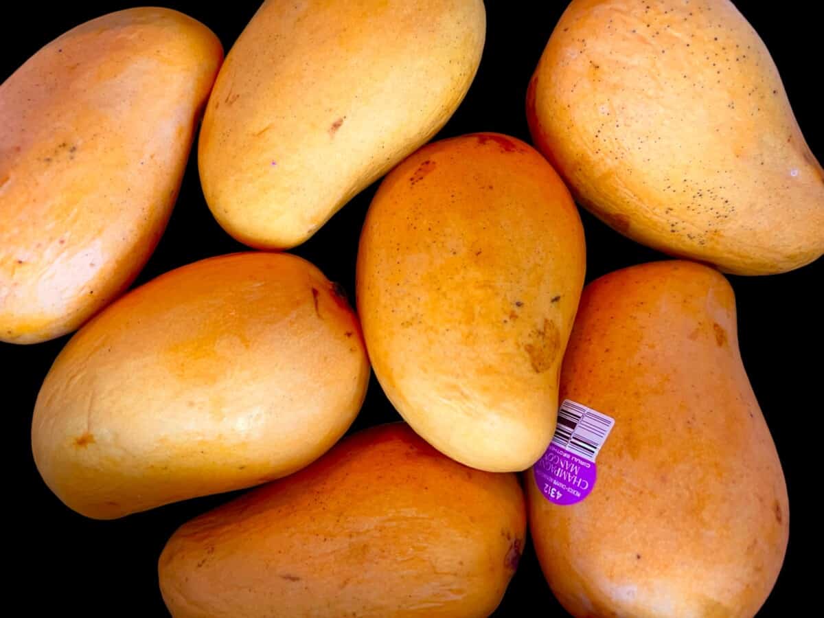 How To Make Dehydrated Mango - The Vintage Cook